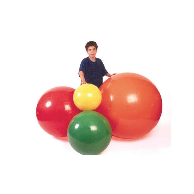 PhysioGymnic Molded Vinyl Inflatable Ball and Roll - CME Corp
